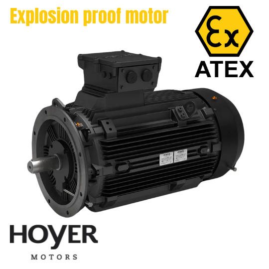 Hoyer explosion proof motors