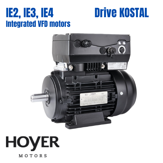 Hoyer Integrated VFD motors